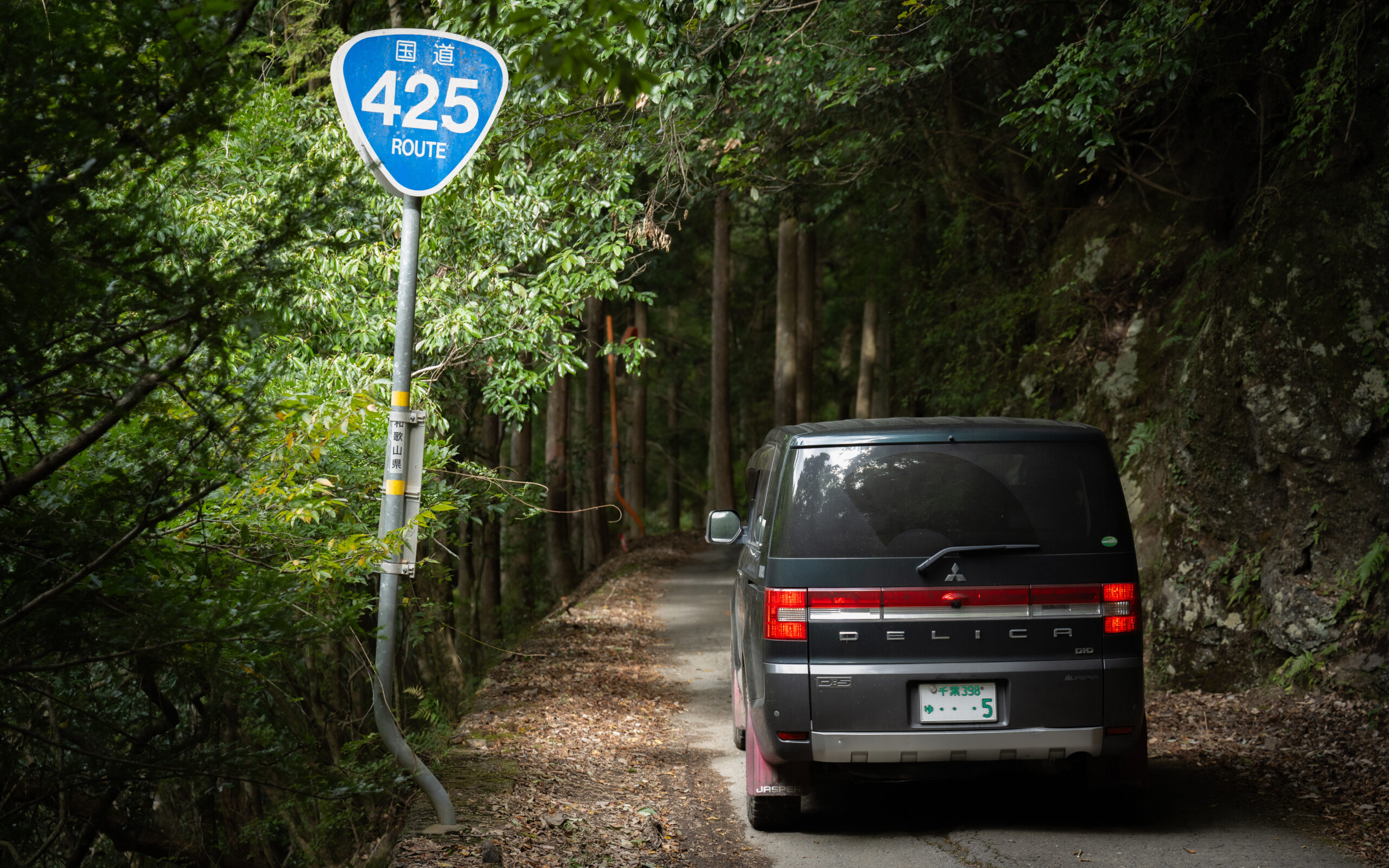 林道遠征③ 酷道 えっ！これ国道だったの？ | デリカD:5 ジャスパーを乗りまくるブログ